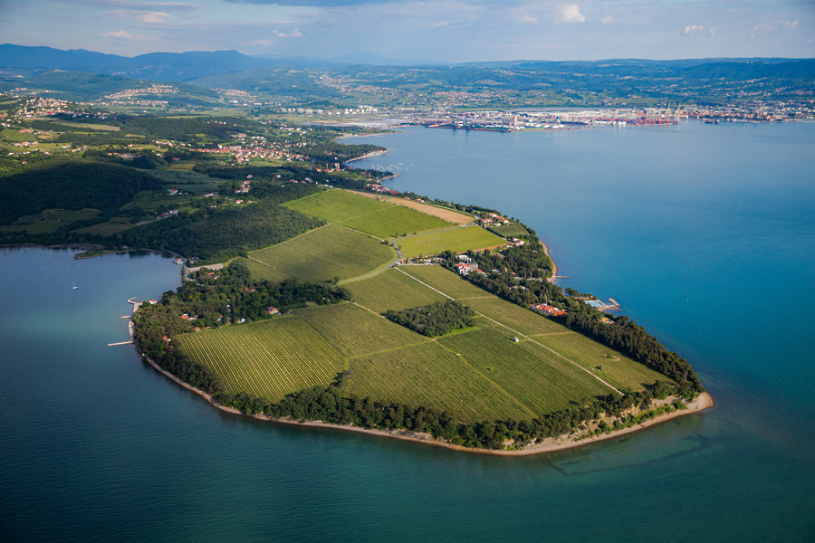 Krajinski park Debeli rtič | Občina Ankaran - Comune di Ancarano
